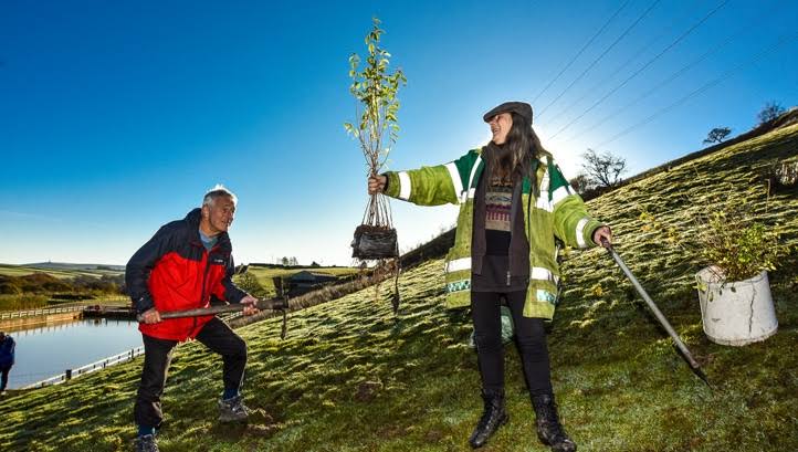 UK to plant 800,000 trees under £40 m green recovery projects - Csr ...