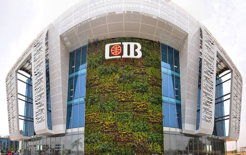 Euromoney Names CIB Middle East s Best Bank For SMEs 2022 Csr Egypt Euromoney Names CIB Middle East s Best Bank For SMEs 2022 Csr Egypt